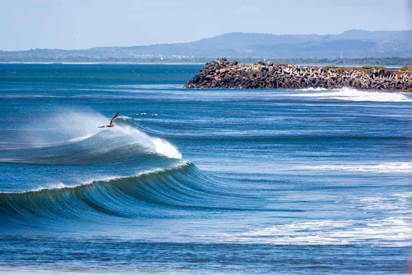 The Best Places to Surf in November
